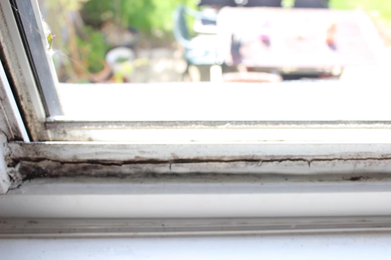 Landlord Responsible Disrepair - The Housing Inspector